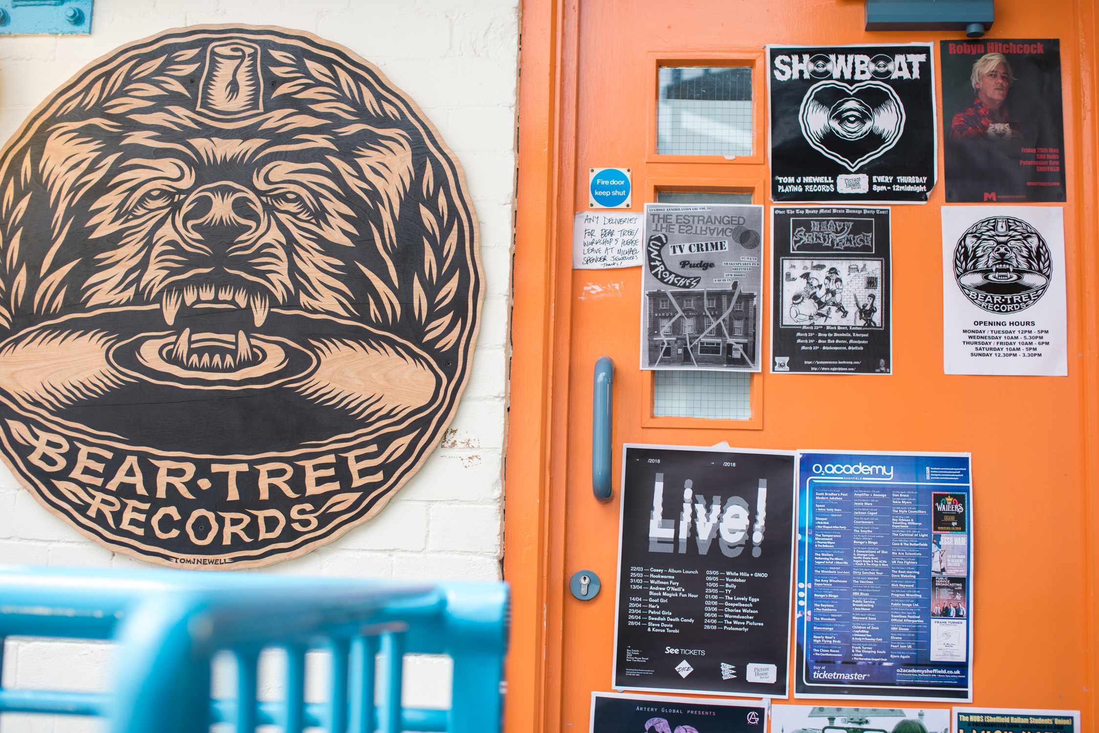 Bear Tree Records → Our Favourite Places – Sheffield Culture Guide