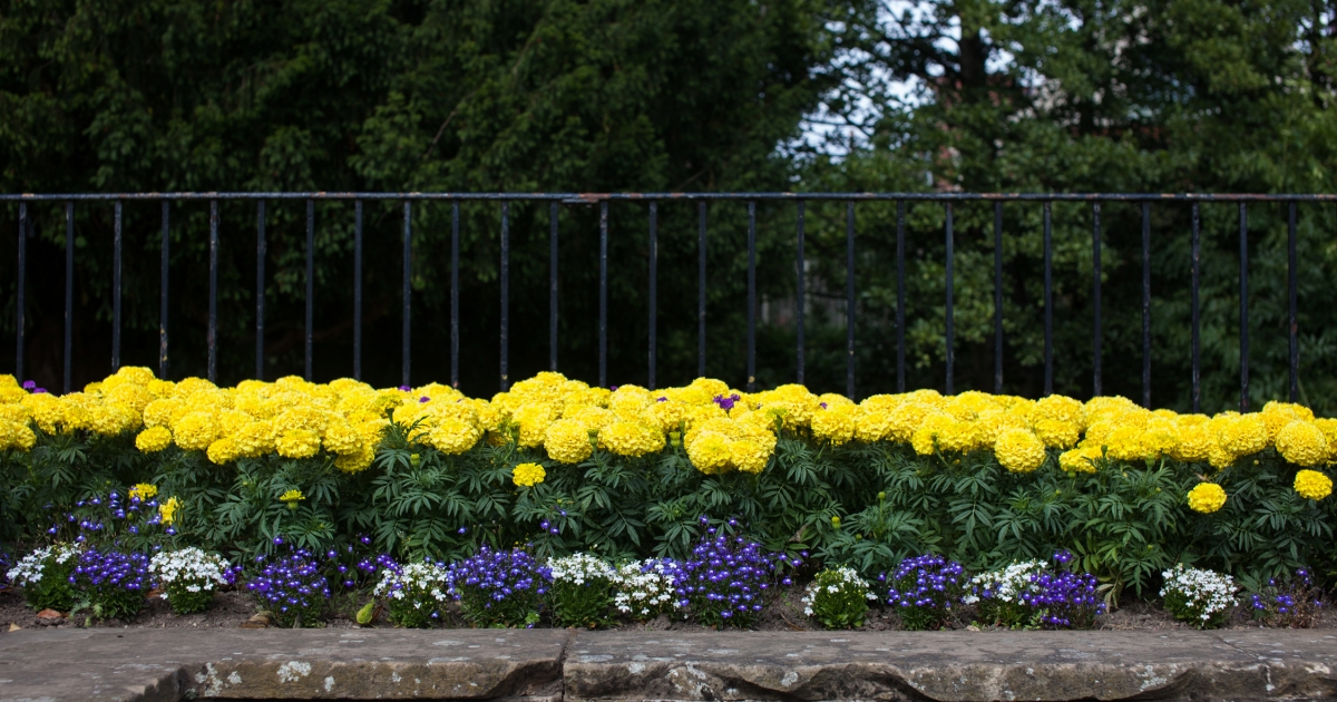Endcliffe Park Heritage Walk → Our Favourite Places – Sheffield Culture ...