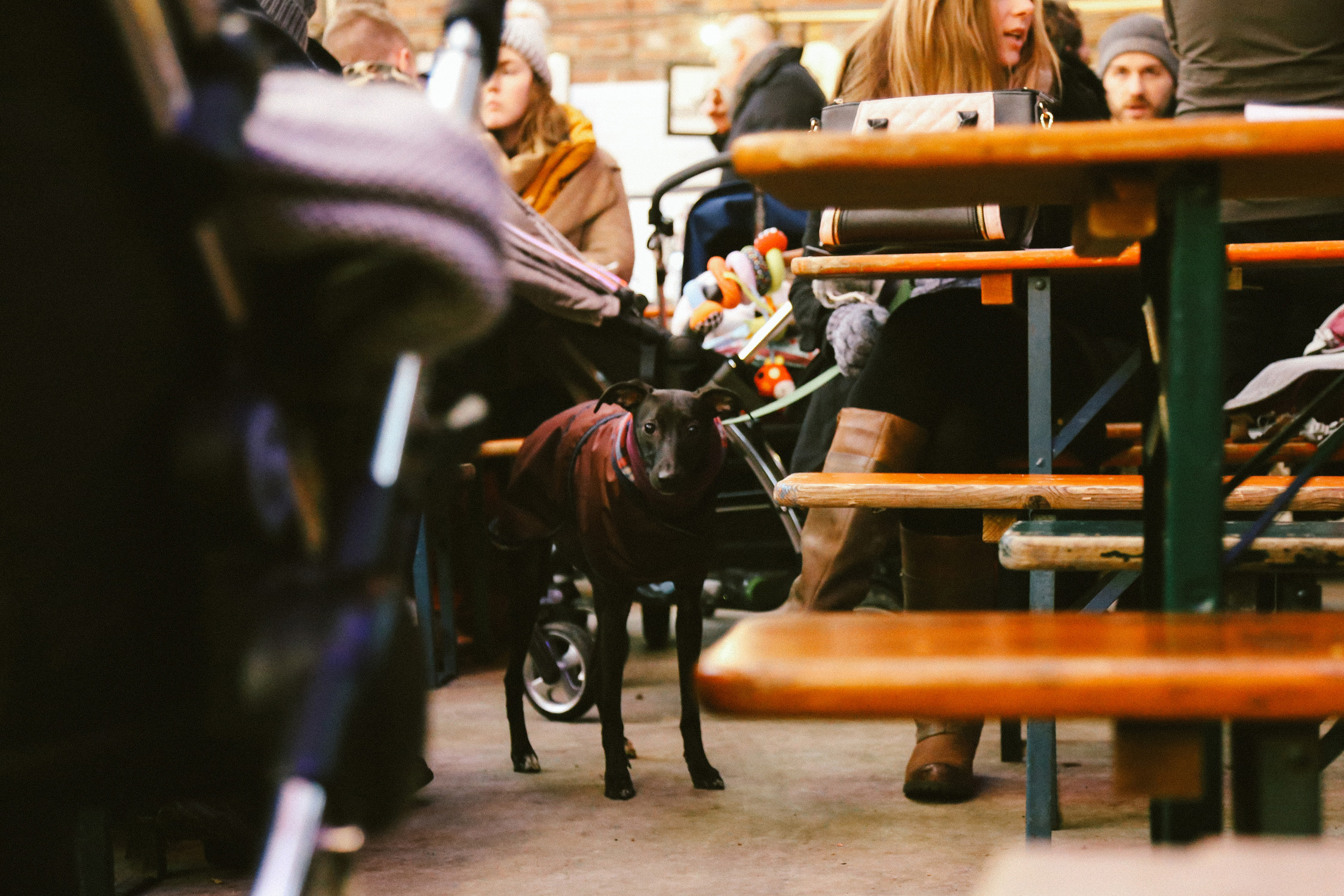 Peddler → Our Favourite Places – Sheffield Culture Guide